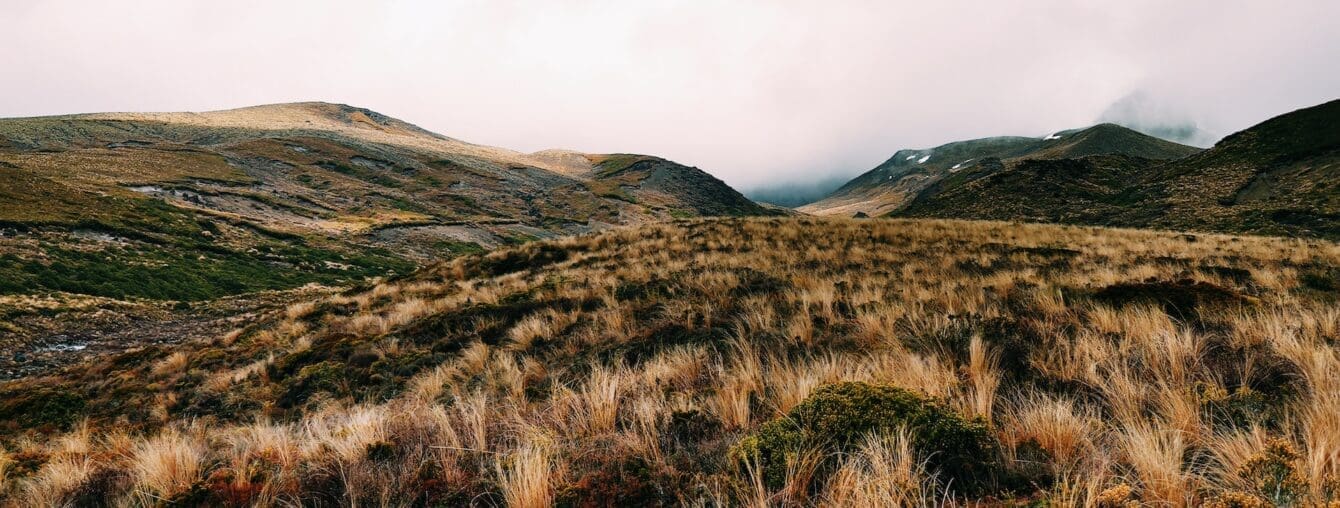 Get in Touch | Under Construction